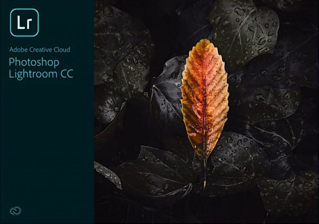 Lightroom Classic CC vs. (新) Lightroom CC | ミヤビプロダクション